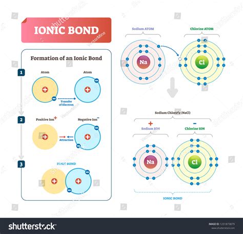 Ionic Bonding Infographic Diagram With Example Of Ionic Off