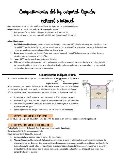 Compartimientos del líquido corporal líquidos extracelular e