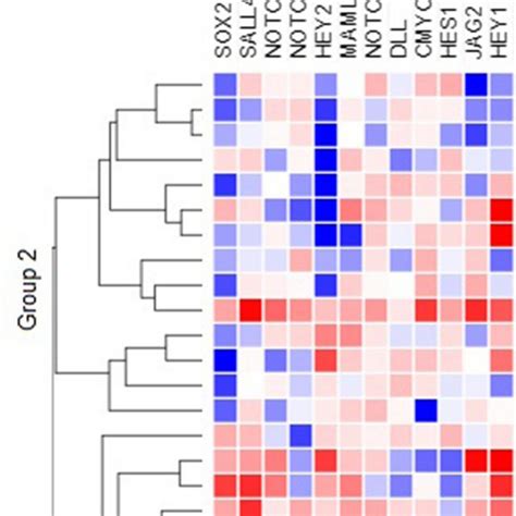 Heat Map And Hierarchical Clustering Of Gene Expression Data Log