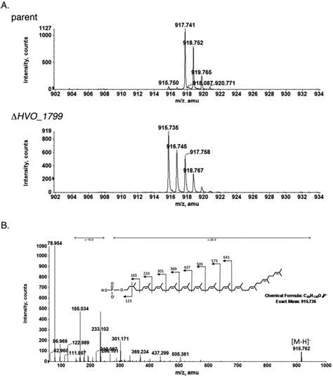 normal phase lc esi ms ms reveals that in hfx volcanii Δhvo 1799 download scientific diagram