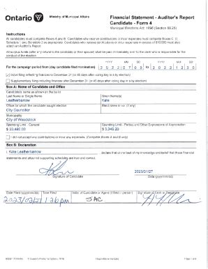Fillable Online Financial Statement Auditor S Report Candidate Form