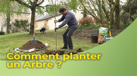 Comment Planter Un Arbre Objectif Habitat