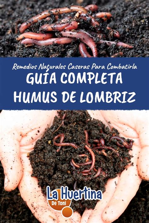 Guía Completa De Como Hacer Humus De Lombriz La Huertina De Toni