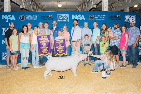 5th Overall Purebred Gilt Champion Yorkshire 2023 The Exposition