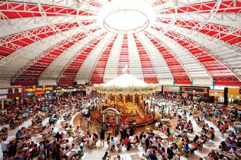 Beto Carrero as melhores dicas para aproveitar o parque ao máximo