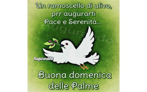 Buongiorno E Buona Domenica Delle Palme Immagini E Frasi D Auguri Da