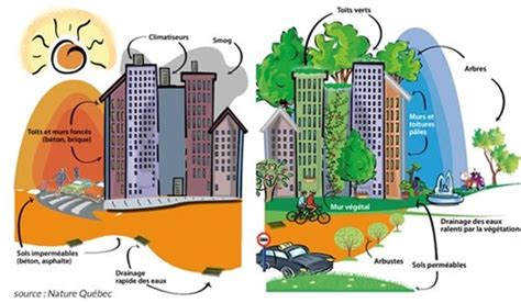 Pourquoi V G Taliser Les Villes Blooming Biodiversit Et Entreprises