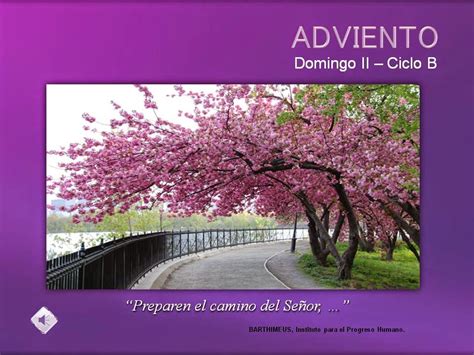 Evangelio Del Domingo En Power Point EVANGELIO Domingo II T Adviento B