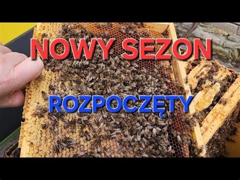 Pierwsze Prace Pasieczne W Nowym Sezonie YouTube