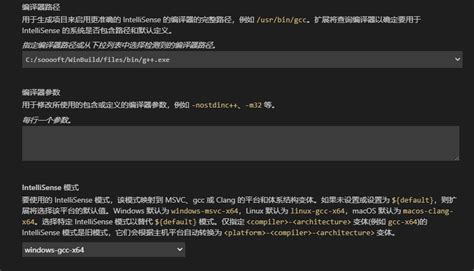 leetcode刷题 leetcode环境配置 vscode 《算法与数据结构》 极客文档