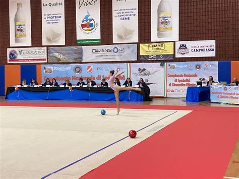 Federazione Ginnastica D Italia Campobasso Riflettori Accesi Al