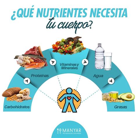 Arriba Imagen Mapa Mental Alimentacion Saludable Abzlocal Mx