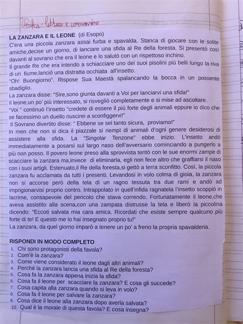 Verifica Lettura E Comprensione Blog Di Maestra Mile