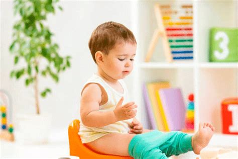 Cómo entrenar al bebé para ir al baño MiBBmemima