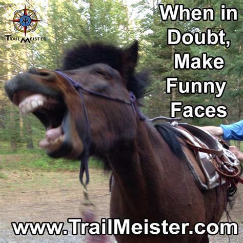 Meme Madness Trailmeister