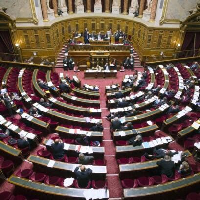 Franceinfo TV En Direct OnePlanete