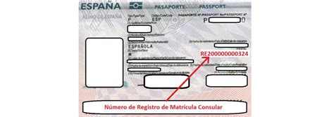 Cómo Se Solicita La Matrícula Consular En España España