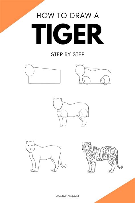 How To Draw A Realistic Baby Tiger Step By Step