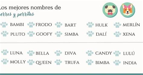 33 Apodos Originales E Ingeniosos Para Personas Apodosfera