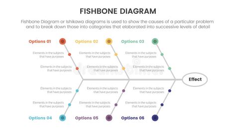 Fishbone Diagram Fish Shaped Infographic With Big Circle Icon Points