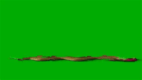 Snake Green Screen Video Youtube