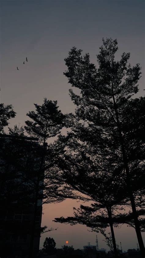 Choices Wallpaper Aesthetic Alam You Can Use It Free Aesthetic Arena
