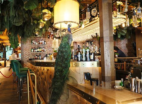 AMAZONICO RESTAURANT MADRID The Rebel Dandy