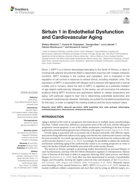 PDF Sirtuin 1 In Endothelial Dysfunction And Cardiovascular Aging
