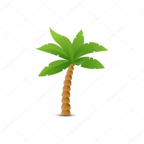 Palmera Tropical Aislada En Blanco Vector De Stock Por Moodbringer