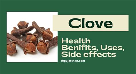 CLOVE Health Benefits And Warnings What You Need To Know