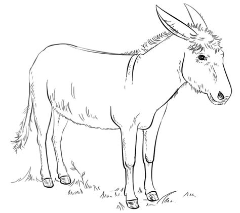 Desenhos De Burro 2 Para Colorir E Imprimir ColorirOnline