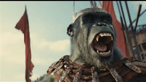Jadwal Tayang Film Kingdom Of The Planet Of The Apes Era Kekuasaan