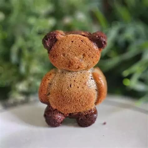Nounours Noisette Et Chocolat Guy Demarle