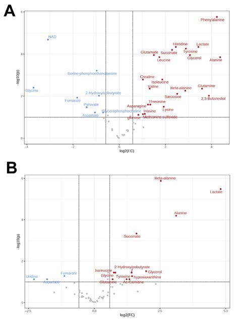 Volcano Plots For The Comparison Of The Metabolomic Changes In The