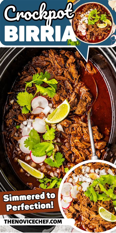 Crockpot Birria Recipe The Novice Chef