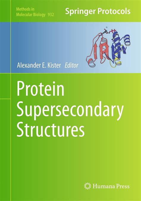 Structure Of Protein Pdf Ubicaciondepersonas Cdmx Gob Mx