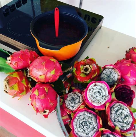 Pitaya Brs Lua Do Cerrado Portal Embrapa