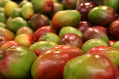 Propiedades Del Mango Y Sus Beneficios Frutas Olivar