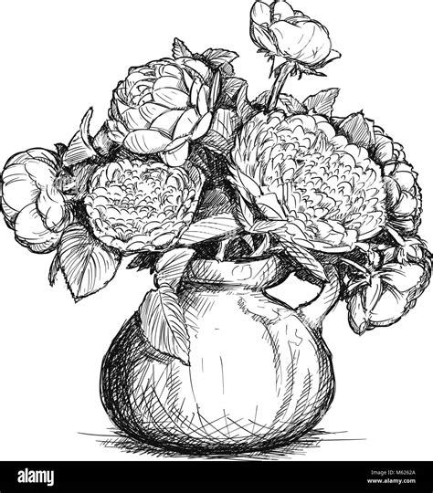 Vector De Dibujo A Mano Alzada Y Rosa Peon A Ramo De Flores En Un