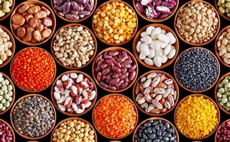 Propiedades De Las Legumbre Y Sus Beneficios Para La Salud