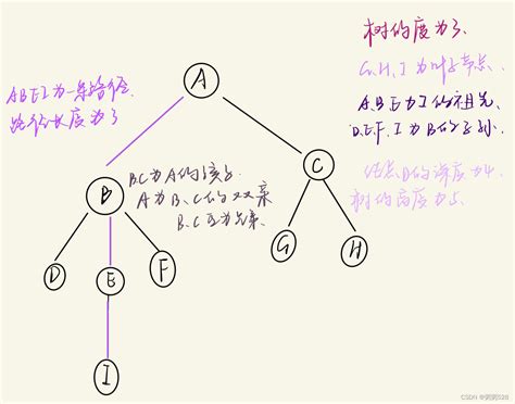 第五章 数据结构之树 可构成树的条件 csdn博客