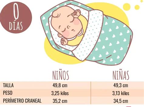 Cuánto debe engordar un bebé al día Importancia de una alimentación