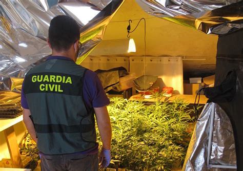 La Guardia Civil desmantela una plantación de marihuana y detiene a dos