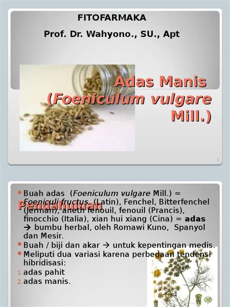 Pdf Fitofarm Adas Dokumen Tips