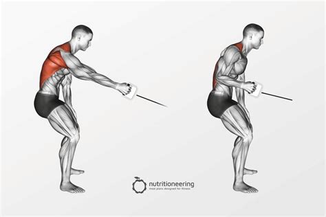 Cable Back Exercises Standing One Arm Row Back Cable Workout Back