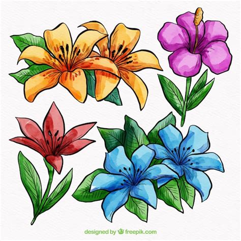 Colección de flores coloridas en estilo acuarela Vector Gratis