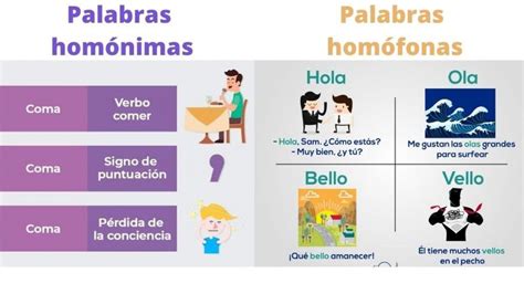 Oraciones con palabras homófonas Nuevas y Originales 2024