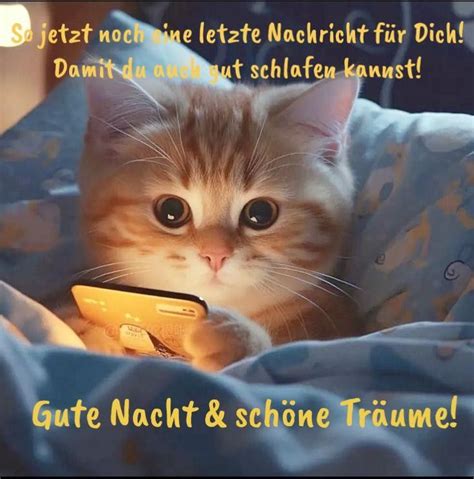 Pin Von Heike Wahrn Auf Gute Nacht Katzen Gute Nacht Lustig Gute