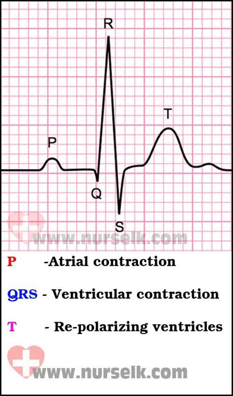 How To Read An Electrocardiogram Ecg Part Pqrst Waves Nurselk