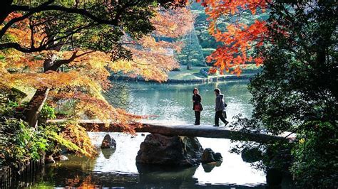 Tokyo Autumn Leaves Forecast 2023 13 Best Autumn Spots In Tokyo